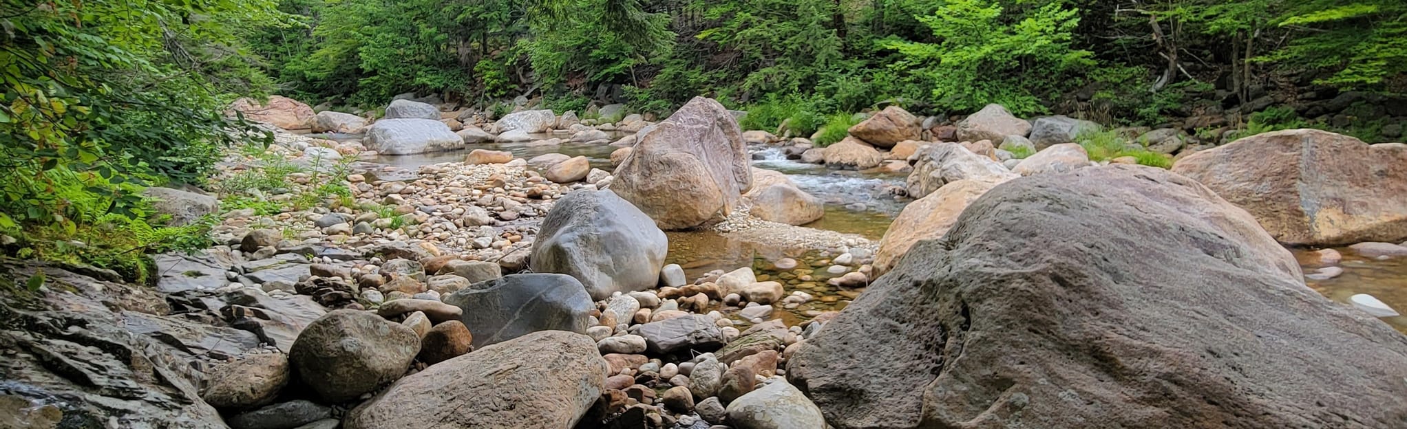 Ellis River Ski Trail, New Hampshire - 236 Reviews, Map | AllTrails