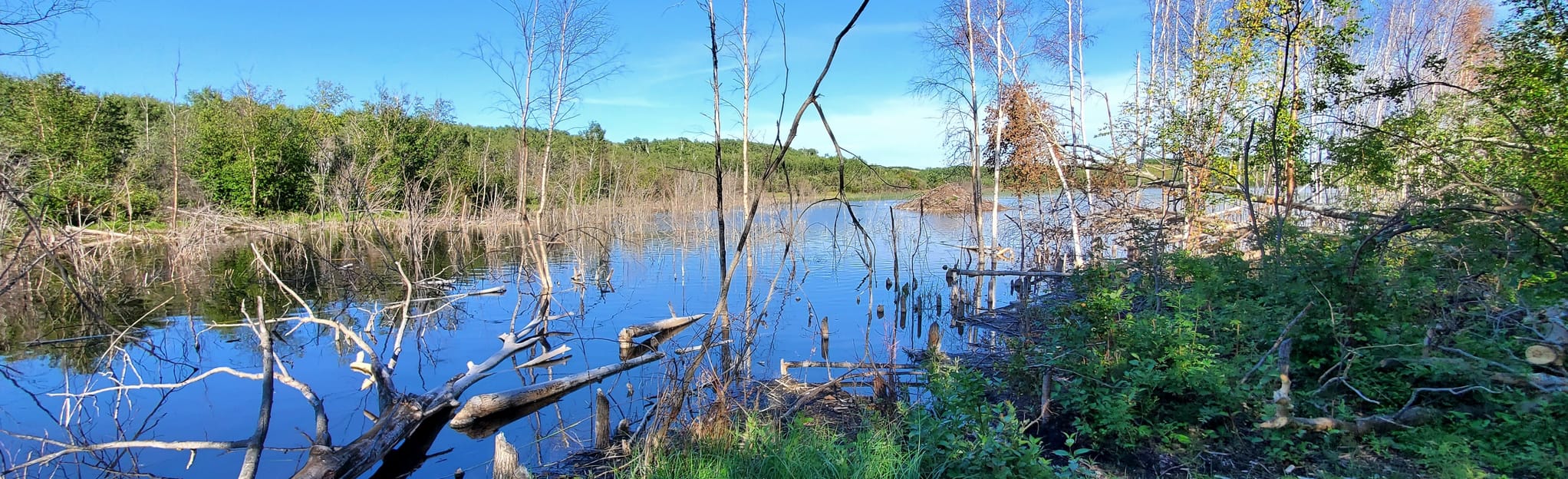 Kettle Lake - Ranger Lake : 10 Photos - Alberta, Canada | Randonnée ...