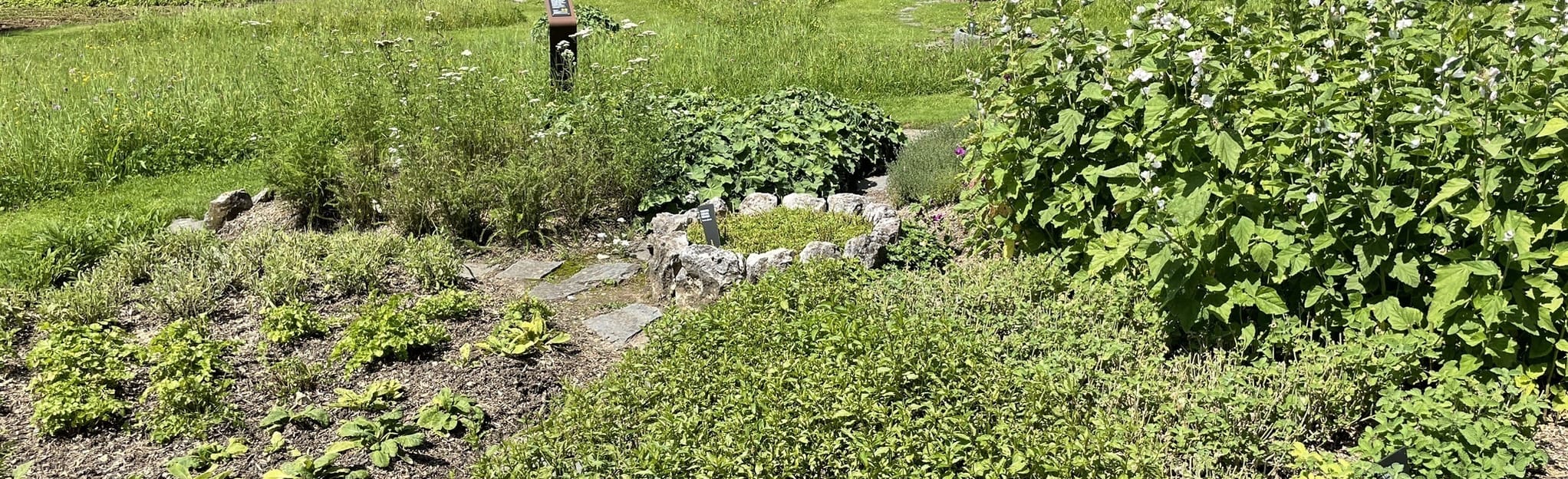 Ettingen - Chuenisberg - Grellingen, Basel Country, Switzerland - Map ...