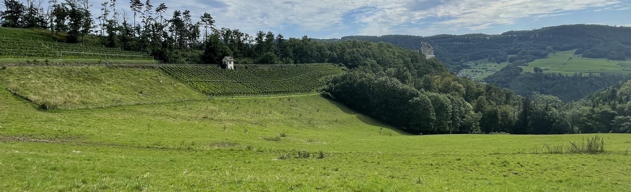 Pfeffingen Ruins - Blatten Pass: 5 Reviews, Map - Basel Country ...