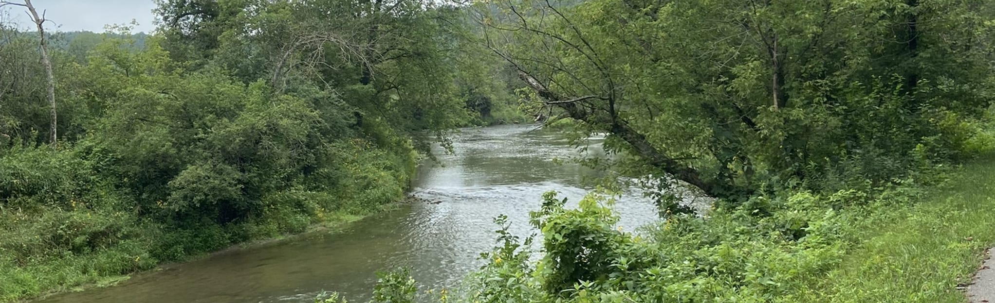 Root River State Trail: Preston to Lanesboro, Minnesota - 98 Reviews, Map | AllTrails