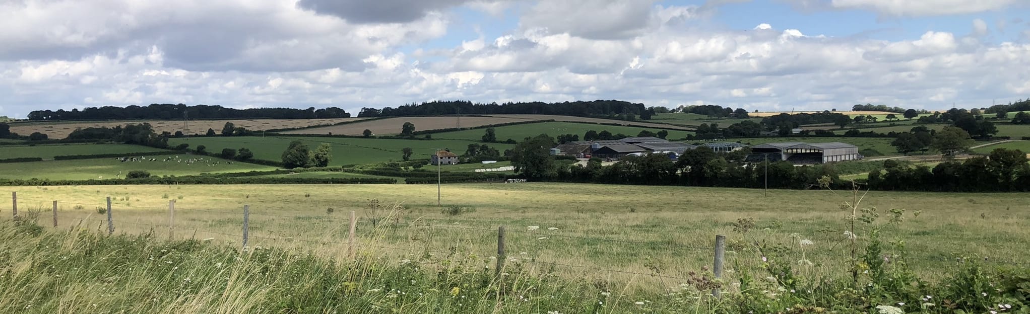 Itchen Way: Hinton Ampner to Winchester - Hampshire, England | AllTrails