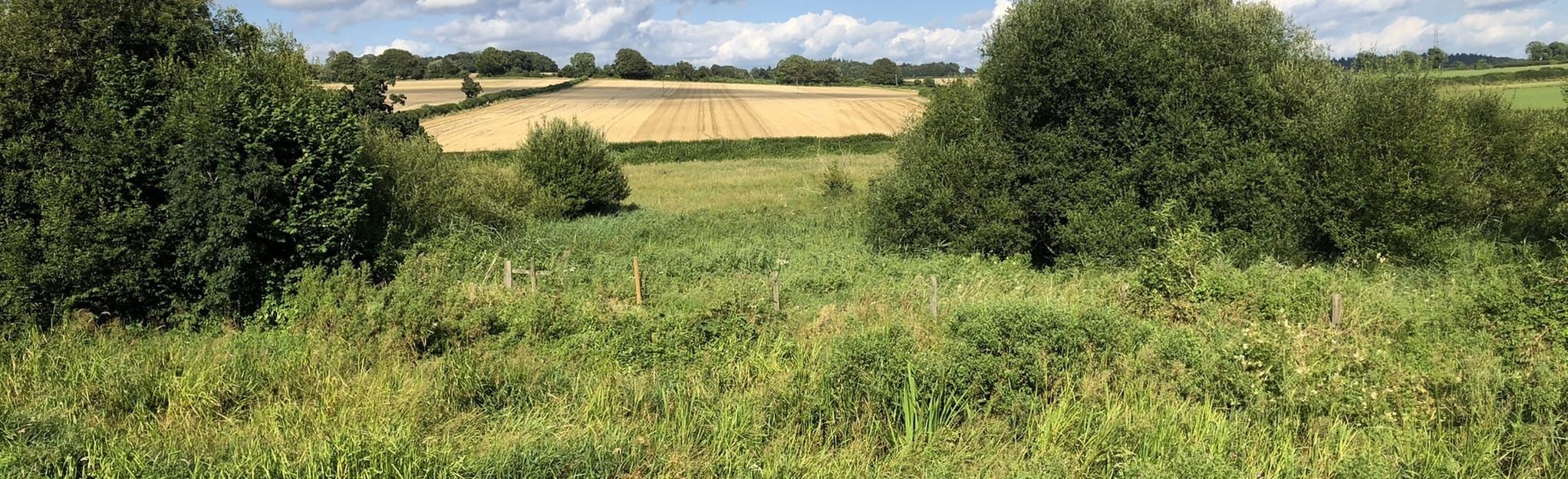 Cheriton Circular: 20 Reviews, Map - Hampshire, England | AllTrails