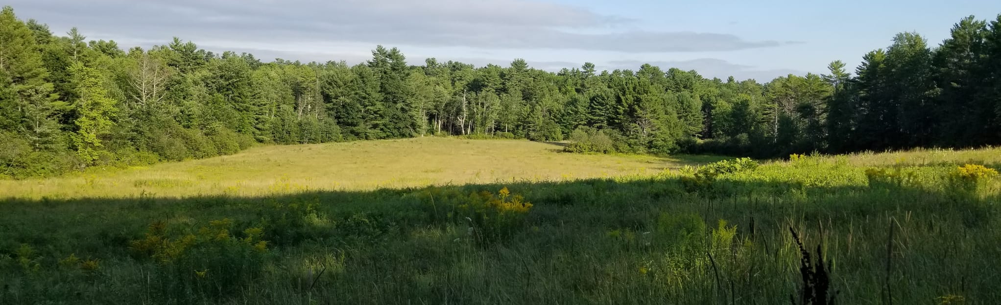 Black Brook Preserve Loop, Maine - 152 Reviews, Map | AllTrails