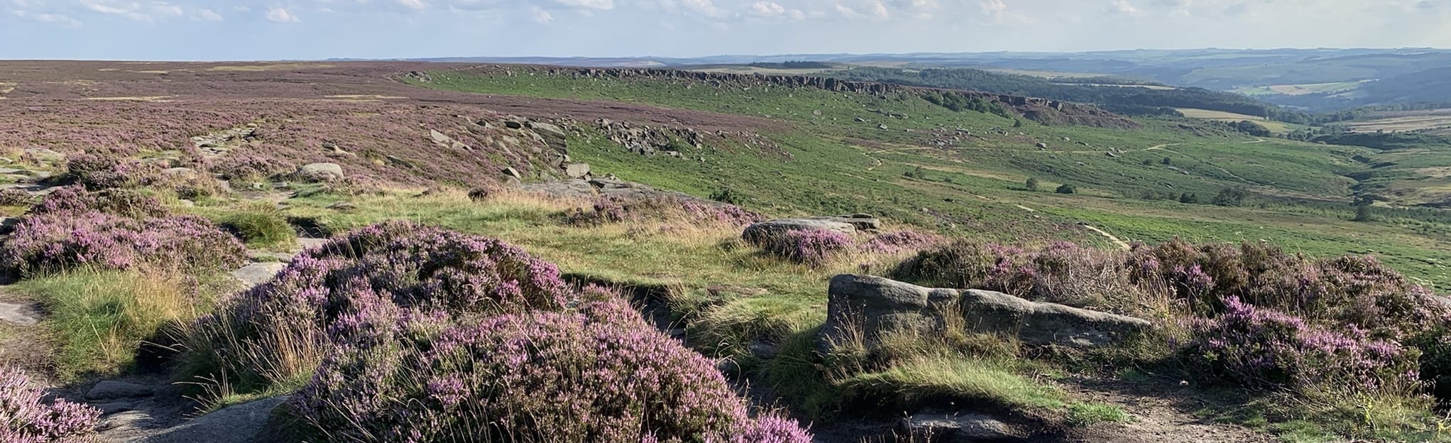 Ringinglow Alpacas Trail, South Yorkshire, England - 57 Reviews, Map ...