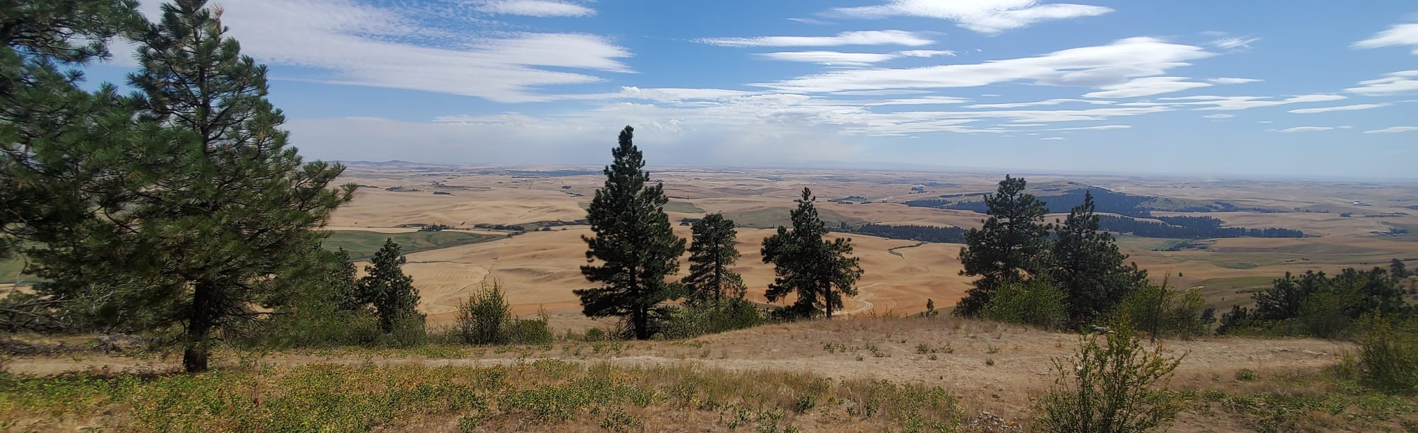 Kamiak Butte Primative Trail, Washington - 314 Reviews, Map | AllTrails