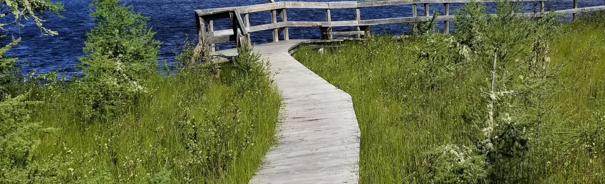 Boundary Bog Trail [CLOSED], Saskatchewan, Canada - 94 Reviews, Map ...