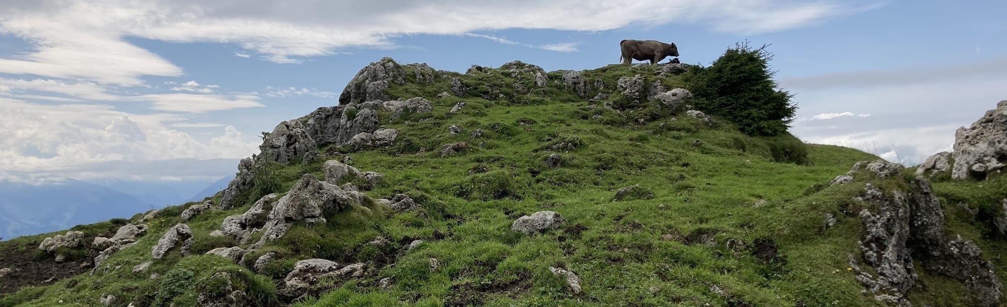 Malbun - Schönberg - Triesenberg, Liechtenstein | AllTrails