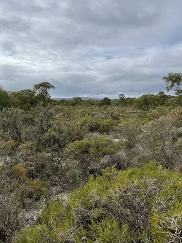 Best Hikes and Trails in Talbot Road Nature Reserve | AllTrails