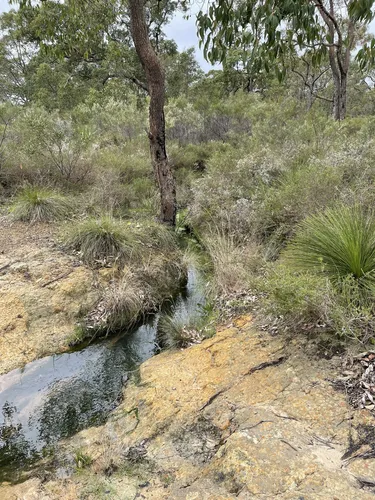 Best Hikes and Trails in Talbot Road Nature Reserve | AllTrails