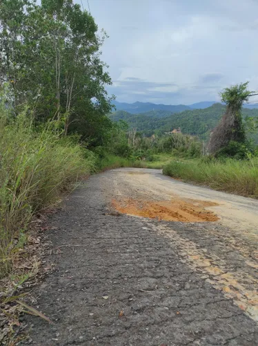 Best Paved Trails in Penampang | AllTrails