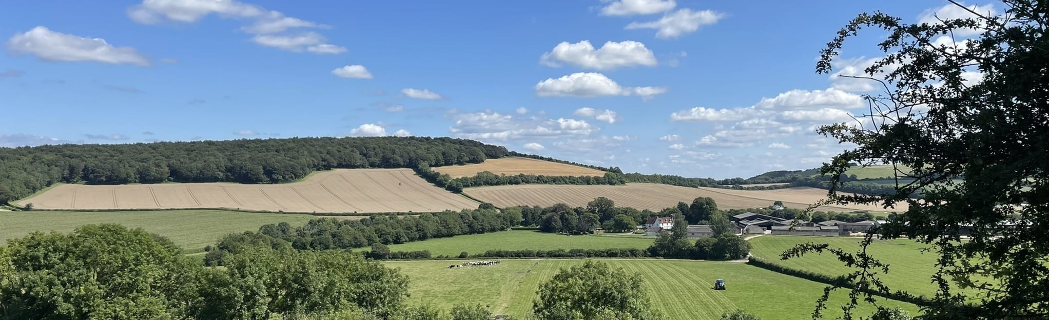 South Downs Way: Exton to Buriton, Hampshire, England - 103 Reviews ...