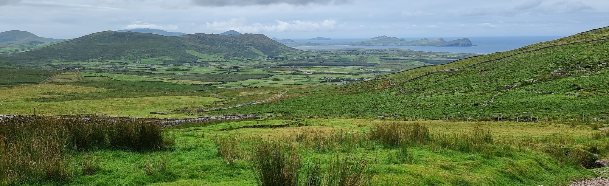 Mt Brandon Loop, 627 Fotos - Condado de Kerry, Irlanda | AllTrails