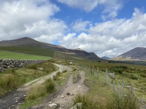 10 Best Forest Trails in Northern Ireland | AllTrails