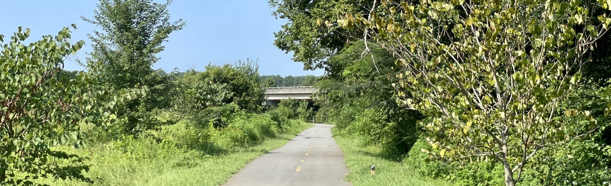 Noonday Creek Trail: 310 Reviews, Map - Georgia | AllTrails