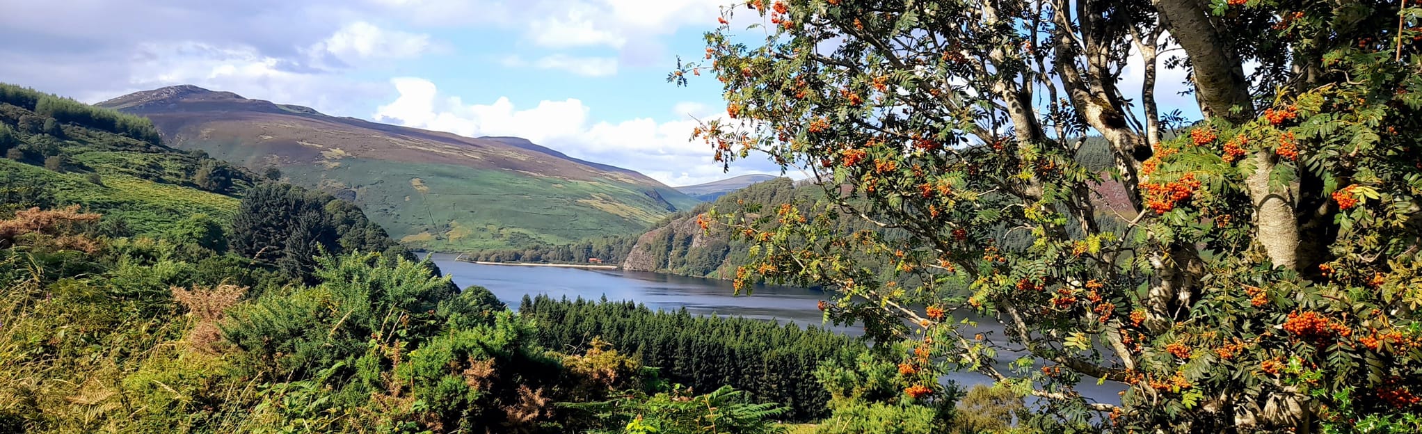 Lough Dan - Kanturk: 402 fotos - Condado de Wicklow, Irlanda | AllTrails