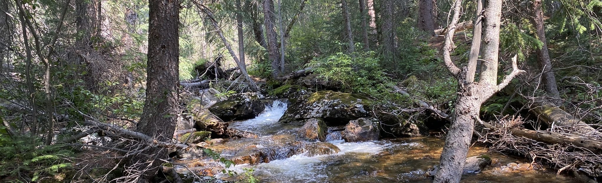 Last Chance Creek, Colorado - 5 Reviews, Map | AllTrails