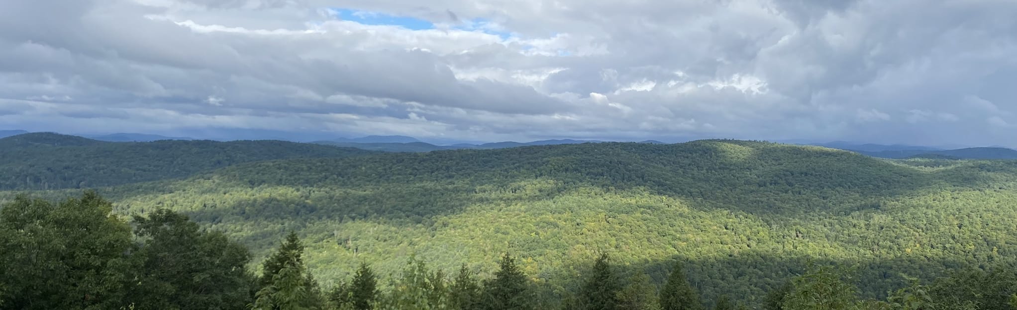 Pinnacle at Windmill Hill Loop: 269 Reviews, Map - Vermont | AllTrails