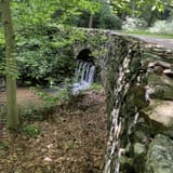 Manitou Point Preserve Trail, New York - 282 Reviews, Map | AllTrails