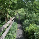 Manitou Point Preserve Trail, New York - 282 Reviews, Map | AllTrails