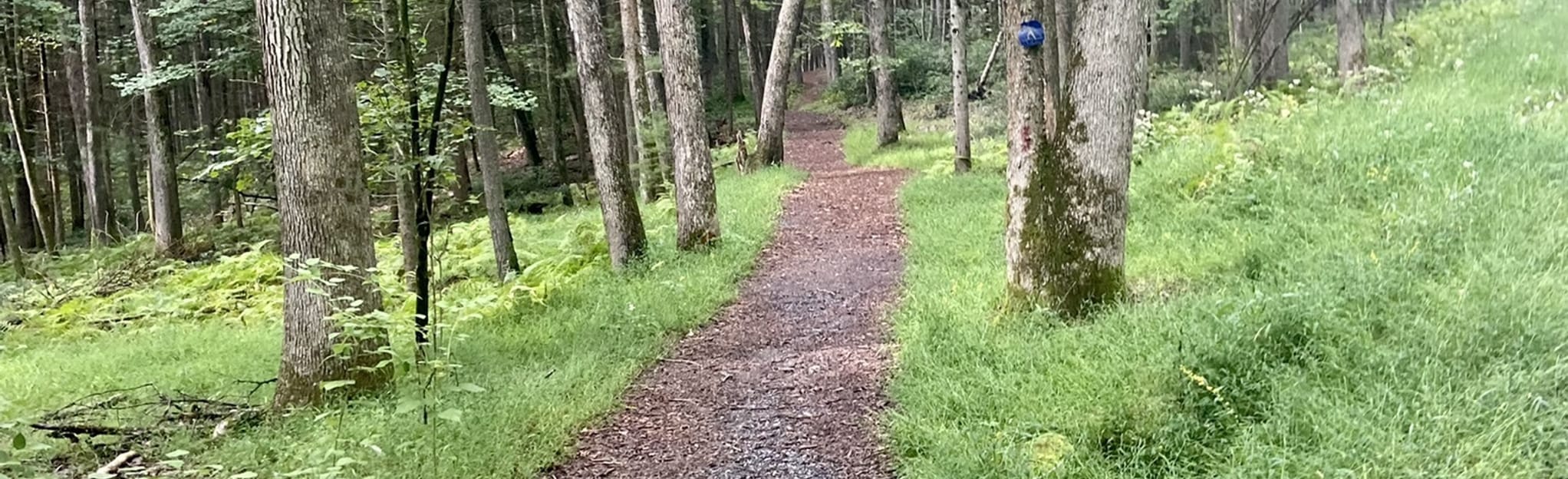 Boiling Springs and Rocky Corner Trail, Pennsylvania - 7 Reviews, Map ...