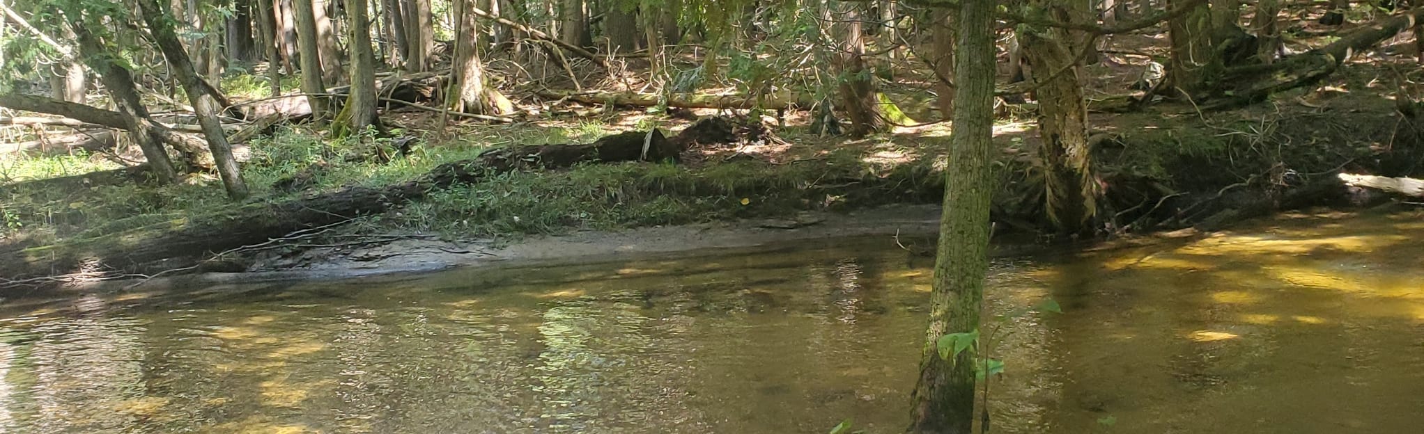Mayfield Road Loop: 33 Reviews, Map - Michigan | AllTrails