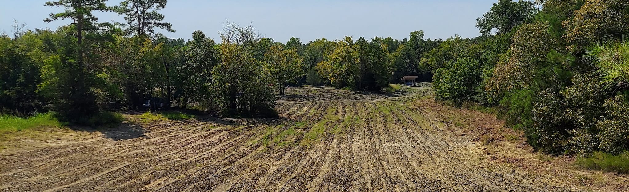 Prospector Trail: 38 Reviews, Map - Arkansas | AllTrails