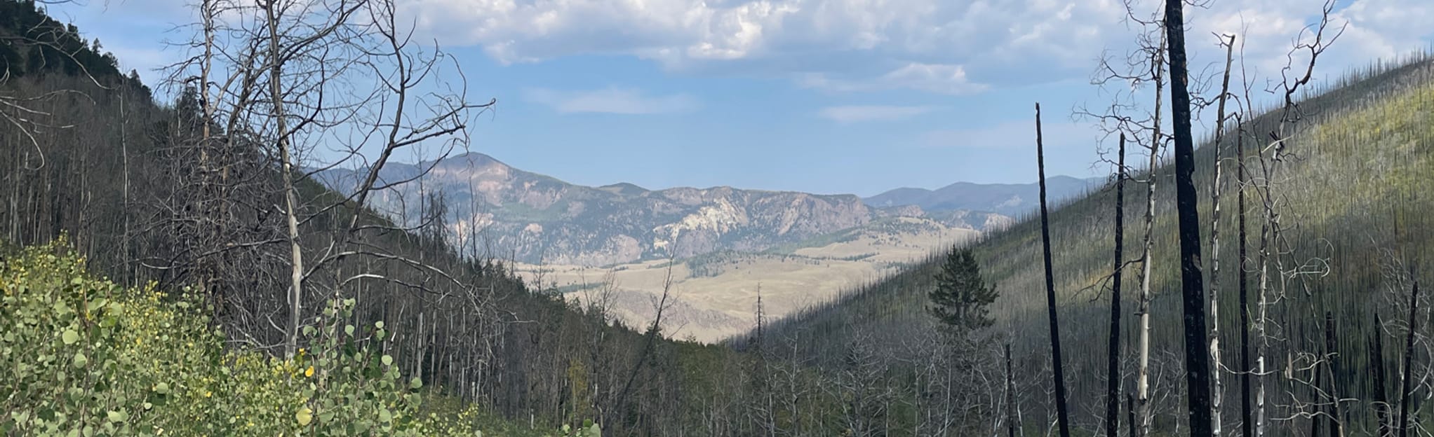 Fern Creek Trail to Little Ruby Lake, Colorado - 27 Reviews, Map ...