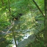 Paul Ruster Trail, Indiana - 204 Reviews, Map | AllTrails