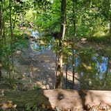 Paul Ruster Trail, Indiana - 204 Reviews, Map | AllTrails