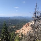 Virgin River Rim Trail, Utah - 132 Reviews, Map | AllTrails