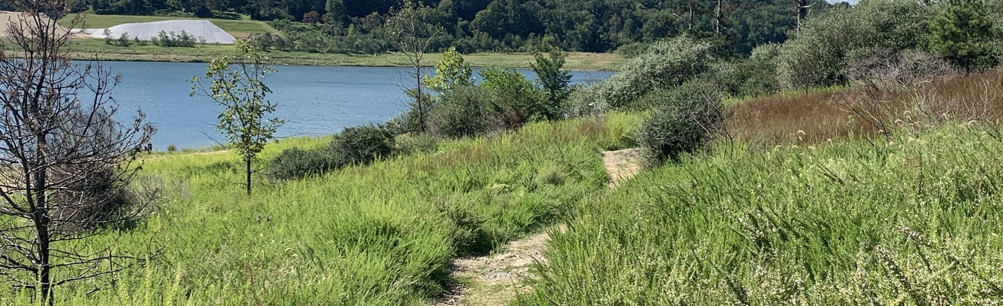 Round Valley Blue Trail and Pine Trail Loop, New Jersey - 918 Reviews ...