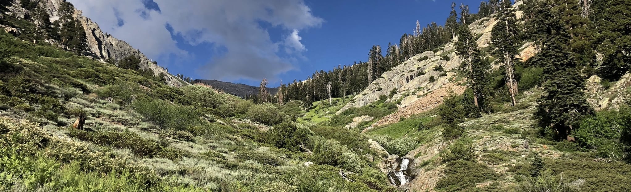 Sawtooth Pass Trail [CLOSED], California - 41 Reviews, Map | AllTrails