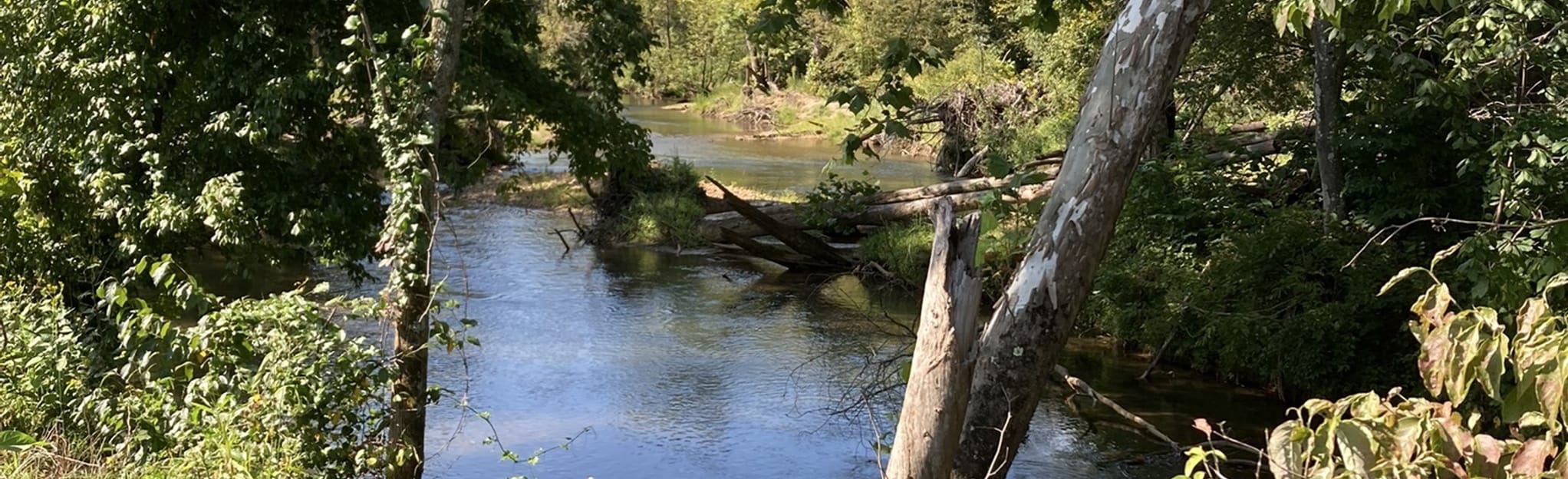 Fieldale Trail , Virginia - 65 Reviews, Map | AllTrails