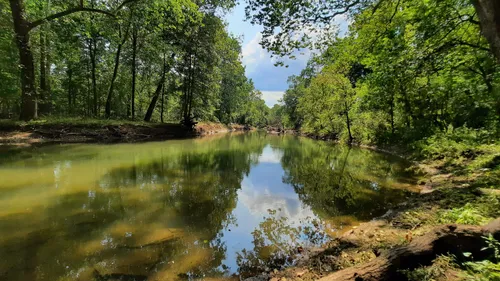 Best Hikes and Trails in Wildflower Reserve | AllTrails