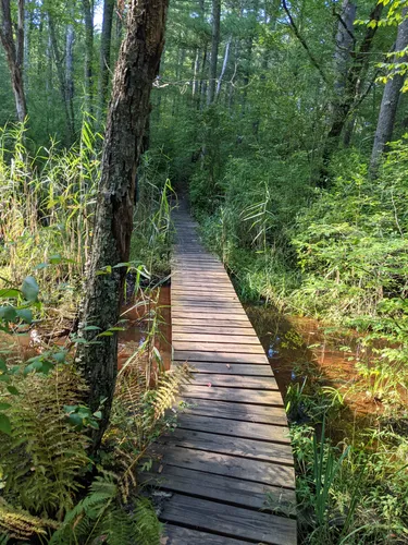 Best Hikes and Trails in Massasoit State Park | AllTrails