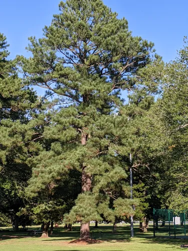 Best Hikes and Trails in Stephen Decatur Park | AllTrails