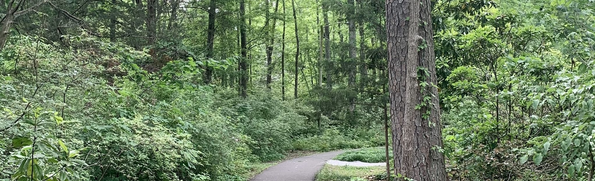 Jackson County Park Trail and Vernon Bush Garden, Alabama - 13 Reviews ...