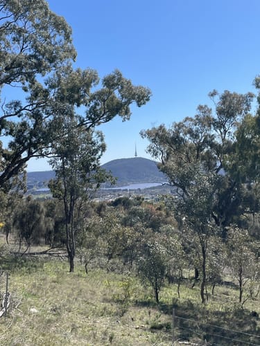 Best 10 Hikes and Trails in Red Hill Nature Reserve | AllTrails