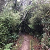 Swampy Summit, Burns Creek, and Leith Saddle Loop, Otago, New Zealand ...