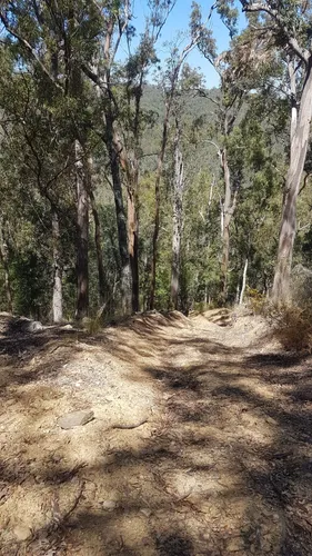 10 Best Trails and Hikes in Mount Glorious | AllTrails