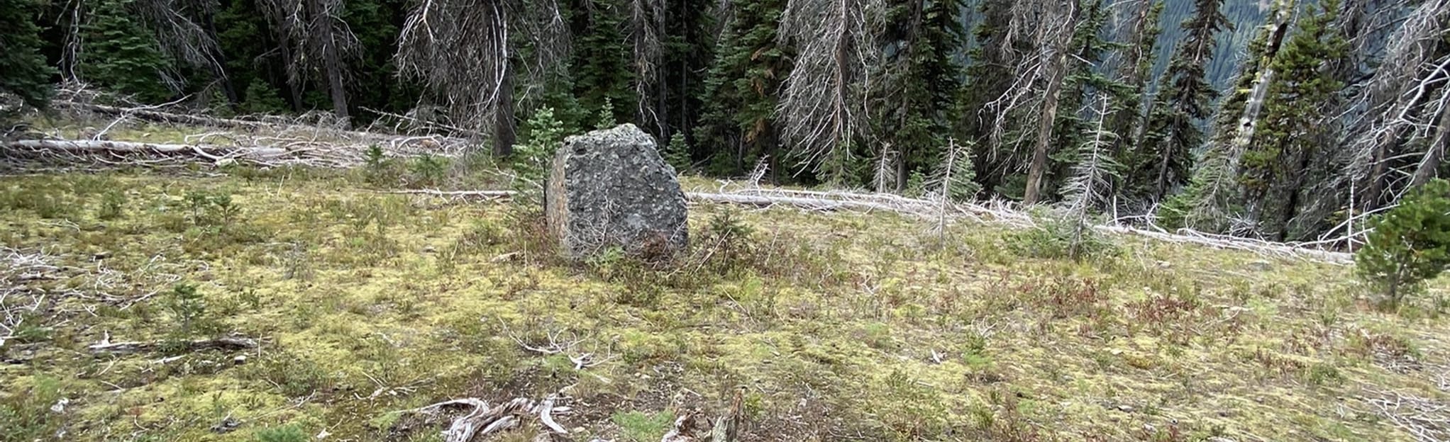 Mount Kelly Trail: 158 Reviews, Map - British Columbia, Canada | AllTrails