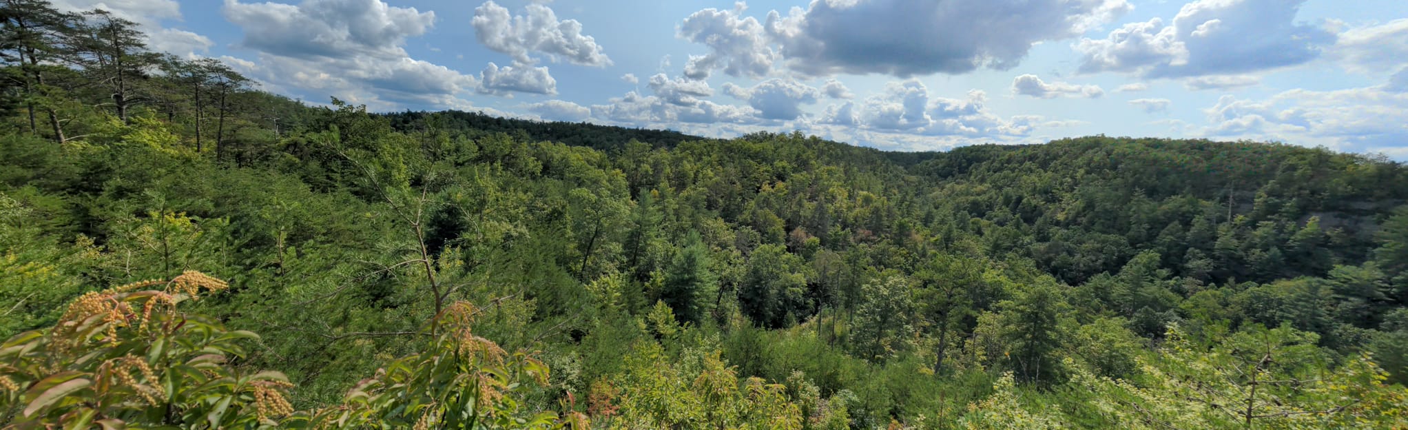 Rough Trail, Gray's Arch, Rush Ridge and Martin's Fork Loop: 182 ...