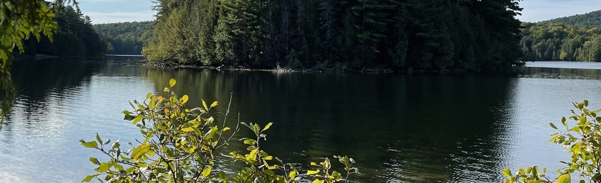 Senderos 50 y 36 hacia Lac Meech - Quebec, Canada | AllTrails