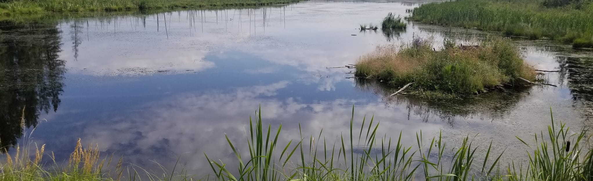 Cross Lake Loop: 9 Fotos - Alberta, Kanada | AllTrails