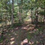 Batona Trail, New Jersey - 322 Reviews, Map | AllTrails