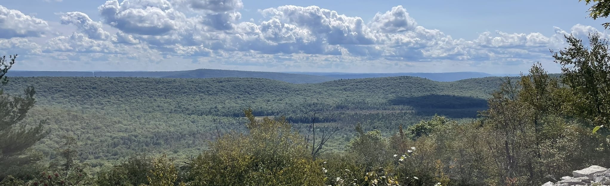 AllTrails | Three Bridges to Bear Meadows: 89 Reviews, Map - Pennsylvania