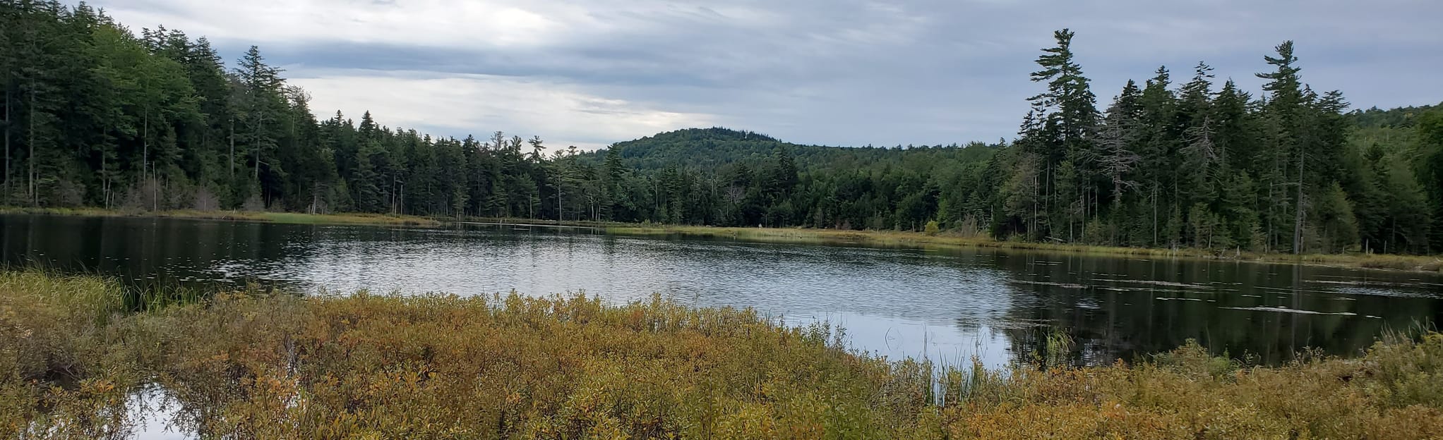 AllTrails | Province Pond via Province Brook Trail: 47 Reviews, Map ...