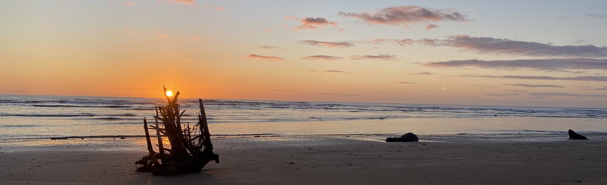 Aramoana Beach Walk, Hawke's Bay, New Zealand - Map, Guide | AllTrails