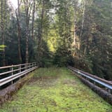Newhalem Creek Trail, Washington - 14 Reviews, Map | AllTrails